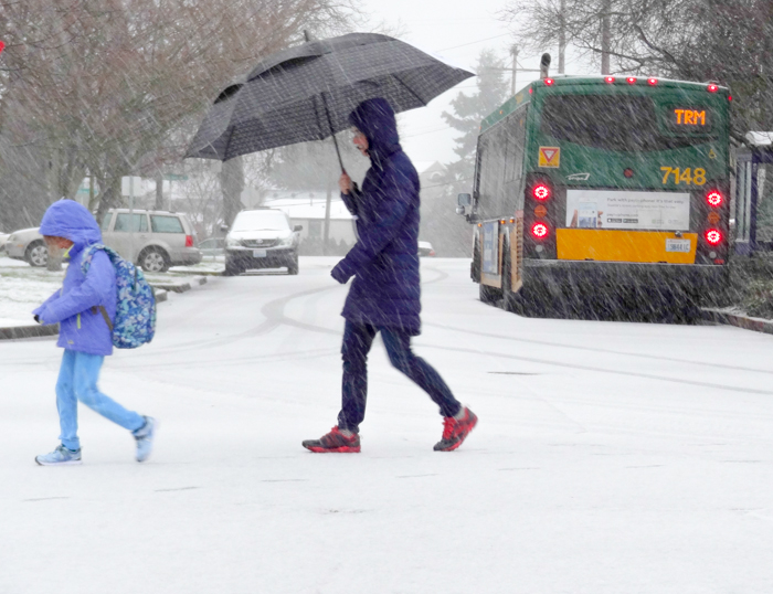 West Seattle Blog… | WEST SEATTLE SNOW: Overnight alert, plus photos