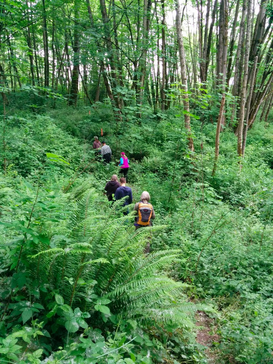 West Seattle Blog… | West Seattle news