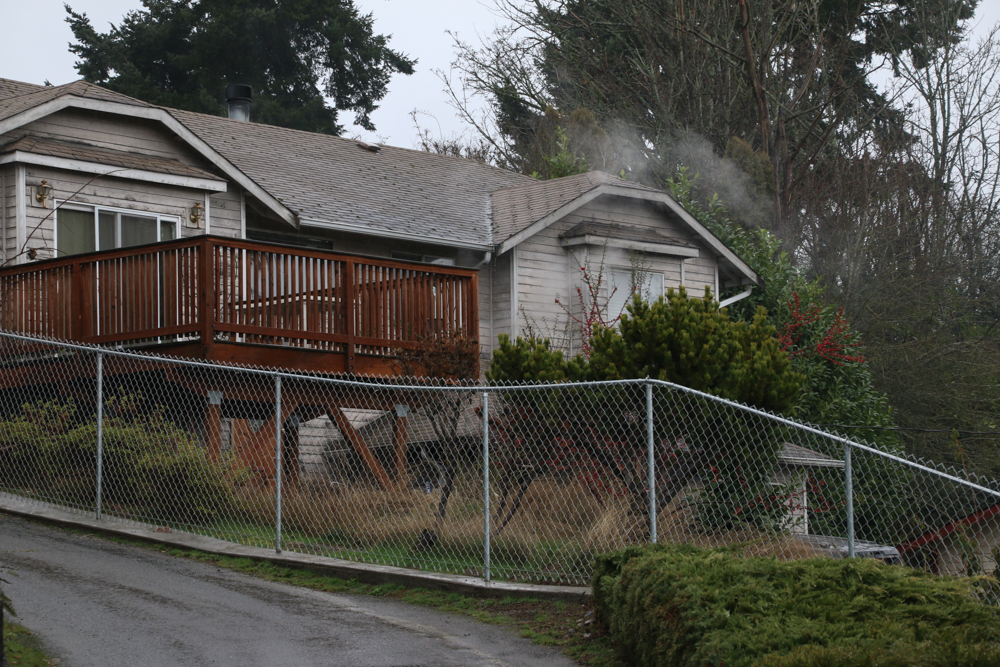 West Seattle Blog… | UPDATE: Seattle Fire callout near Westcrest Park