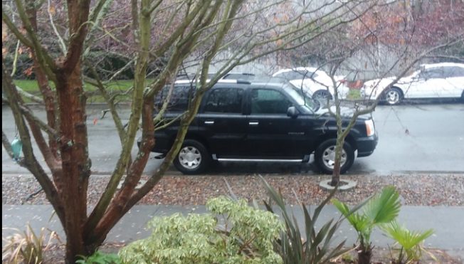 West Seattle Blog… | WEST SEATTLE CRIME WATCH: Stolen black Escalade