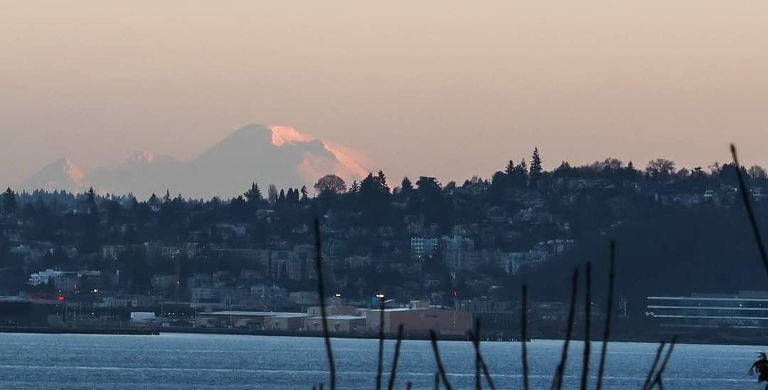 West Seattle Blog… | WEST SEATTLE WEDNESDAY: 11 highlights!
