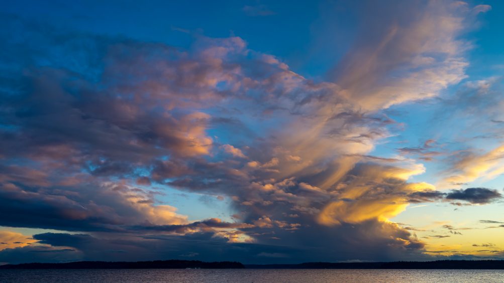 West Seattle Blog… | WS Weekend Lineup