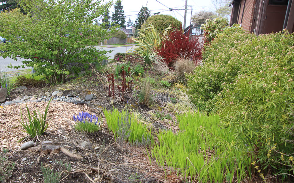 West Seattle Blog… | Gardening