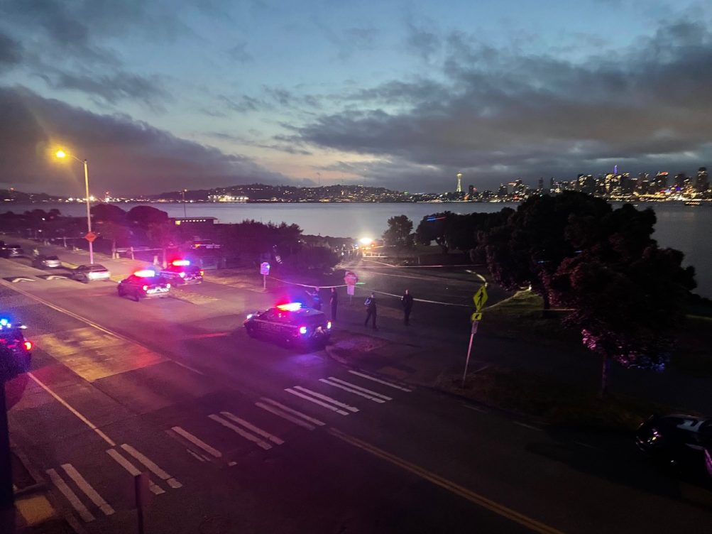 West Seattle Blog… | CRIME WATCH: Shooting victim found dead at Don ...