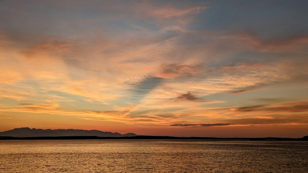 West Seattle Blog… | The list for your West Seattle Wednesday