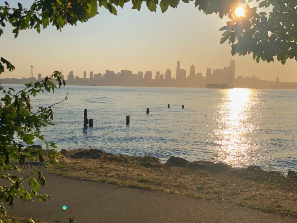 West Seattle Blog… | WEST SEATTLE THURSDAY: 14 notes