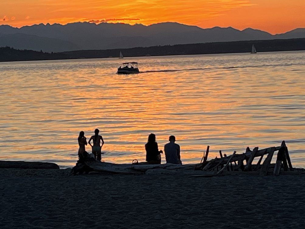 West Seattle Blog… | West Seattle Grand Parade, Float Dodger 5K, Alki ...