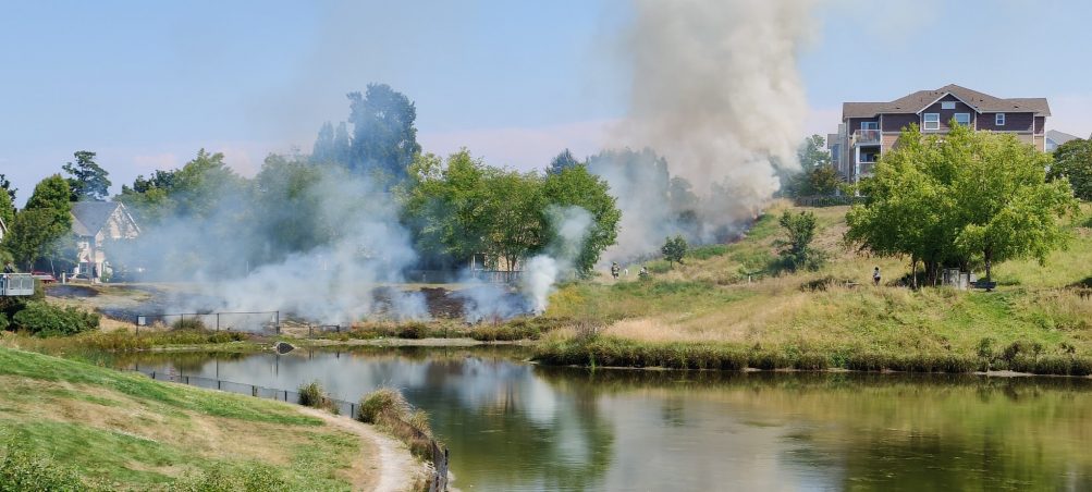 West Seattle Blog… | UPDATE: People setting off fireworks blamed for ...