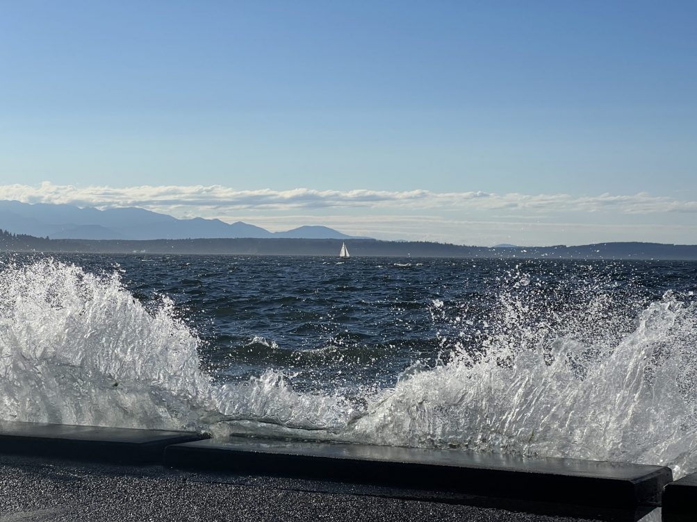 West Seattle Blog… | TRAFFIC, TRANSIT, WEATHER: Midsummer Thursday