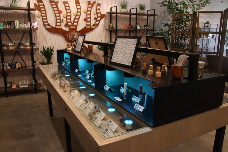 West Seattle Blog… | Grand opening Tuesday for new West Seattle ...