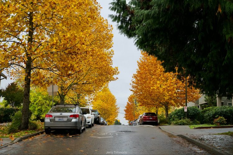 West Seattle Blog…