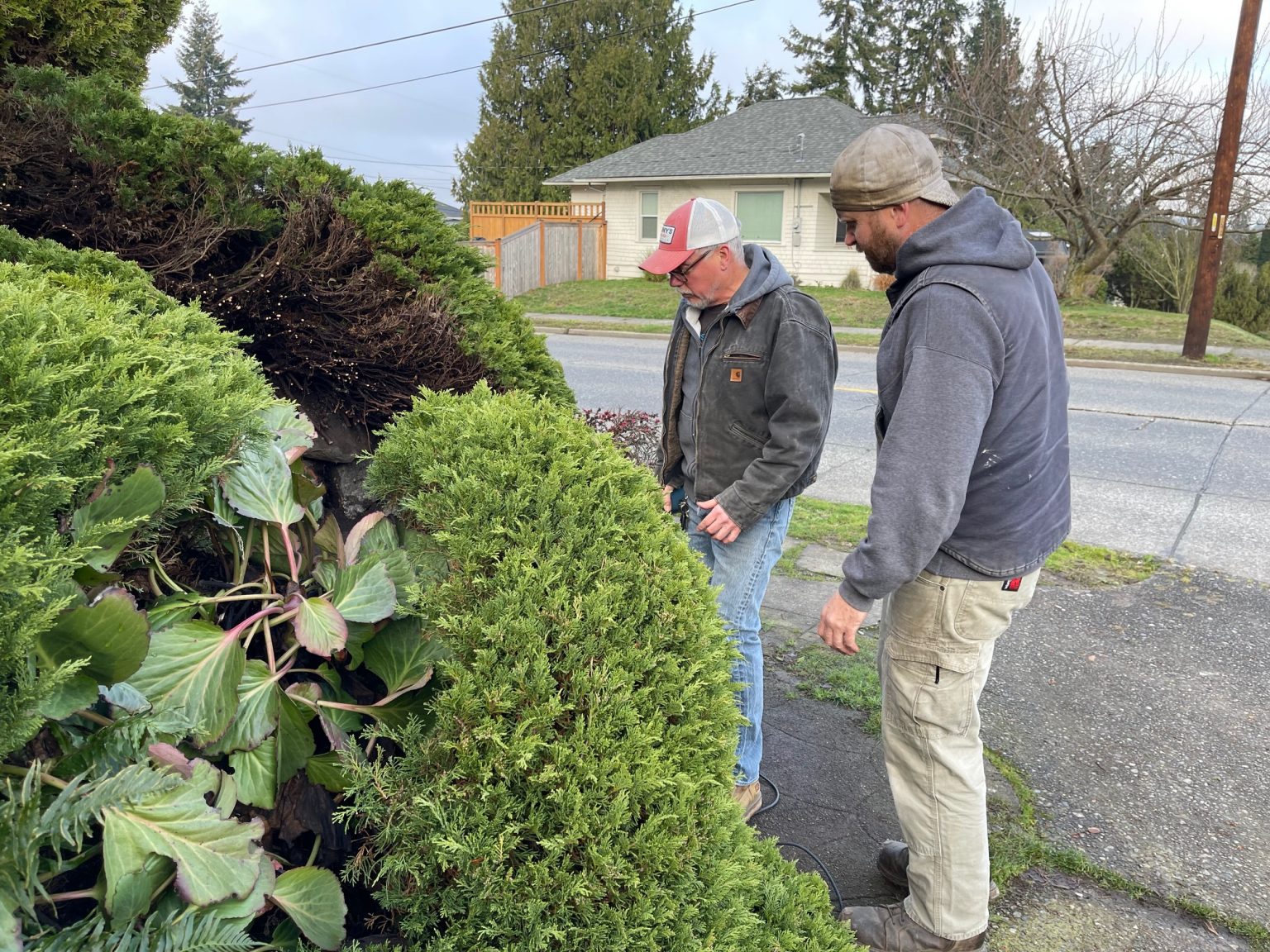 West Seattle Blog…