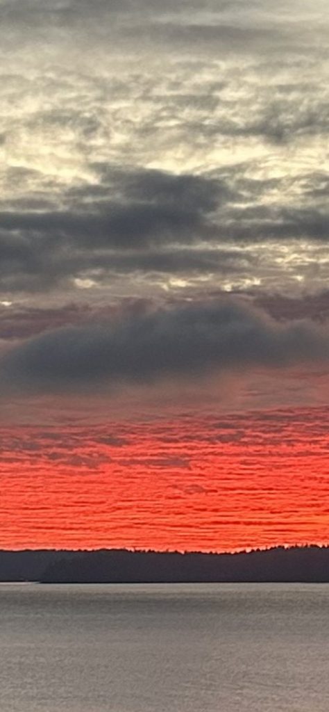 West Seattle Blog…