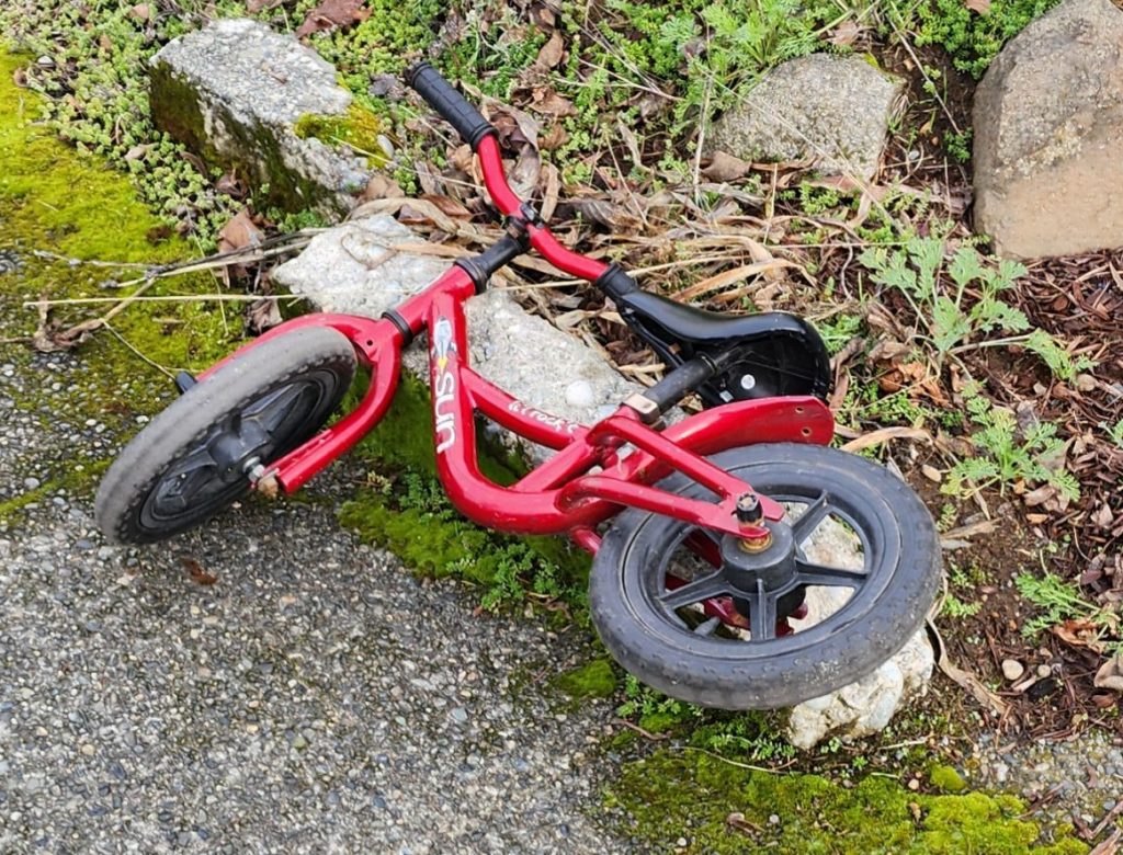 READR REPORT: Three lost or stolen/dumped kids’ bicycles – Bellevue Seattle