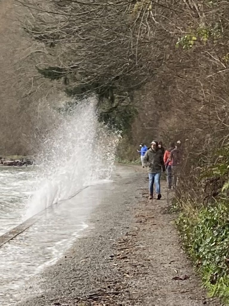 West Seattle Blog… | WEST SEATTLE WEATHER: Christmas Day makes a splash ...